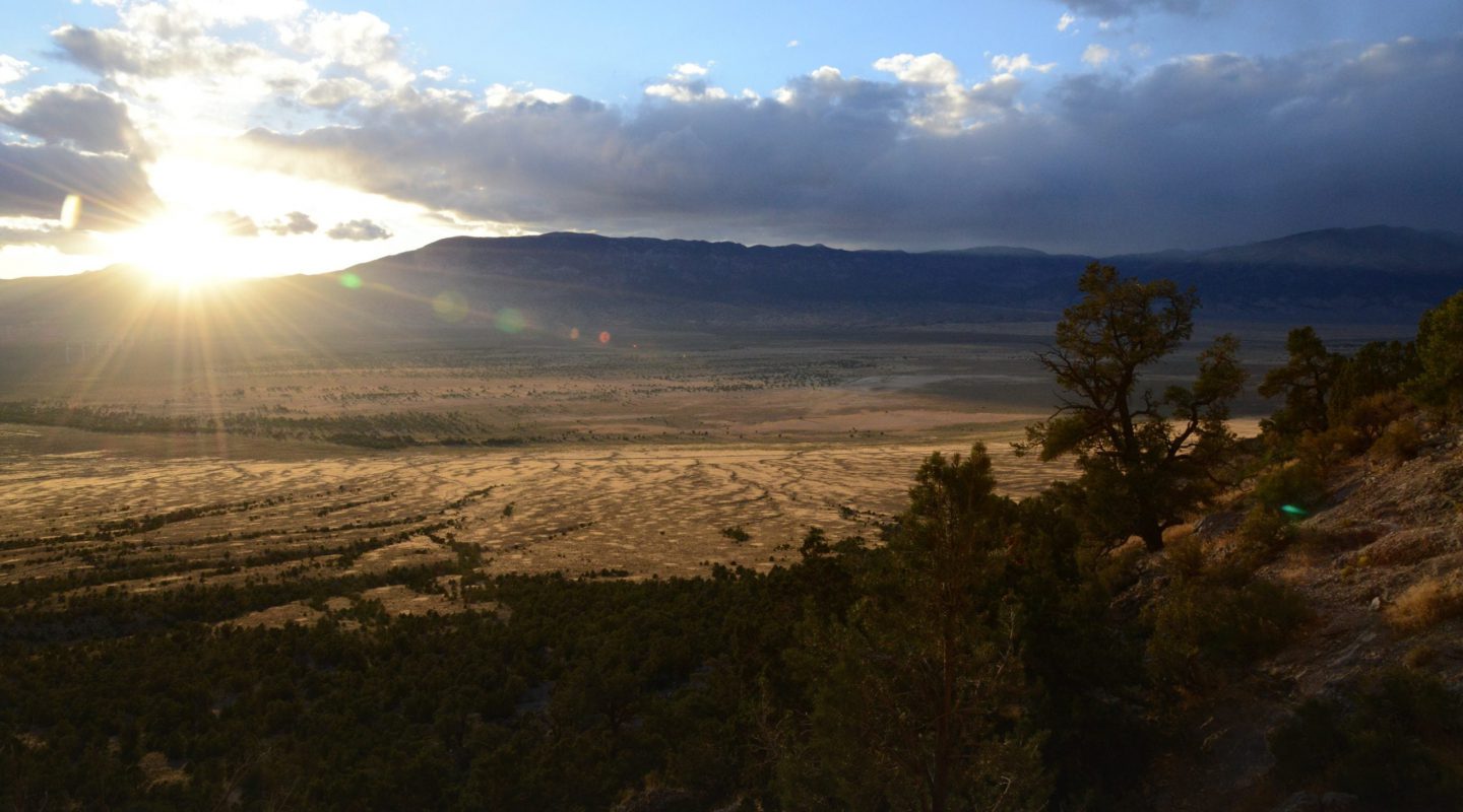 Project WILD - Nevada Wildlife - NDOW