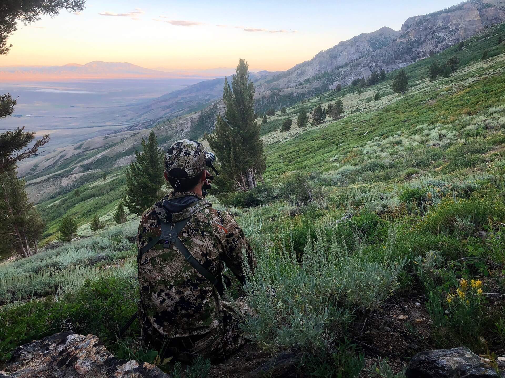 Plan Your Hunt - Nevada Hunting
