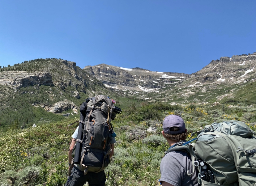 James Lathrop and Wayne Capurro Memorial Internship - NDOW