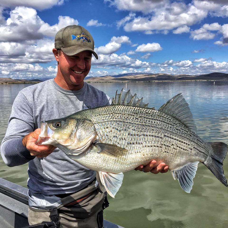 Mercury in Fish - NDOW