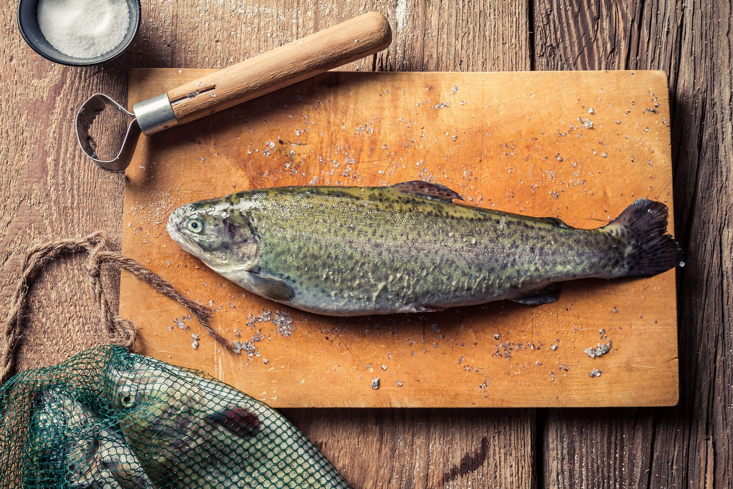 Fish Parasites - NDOW