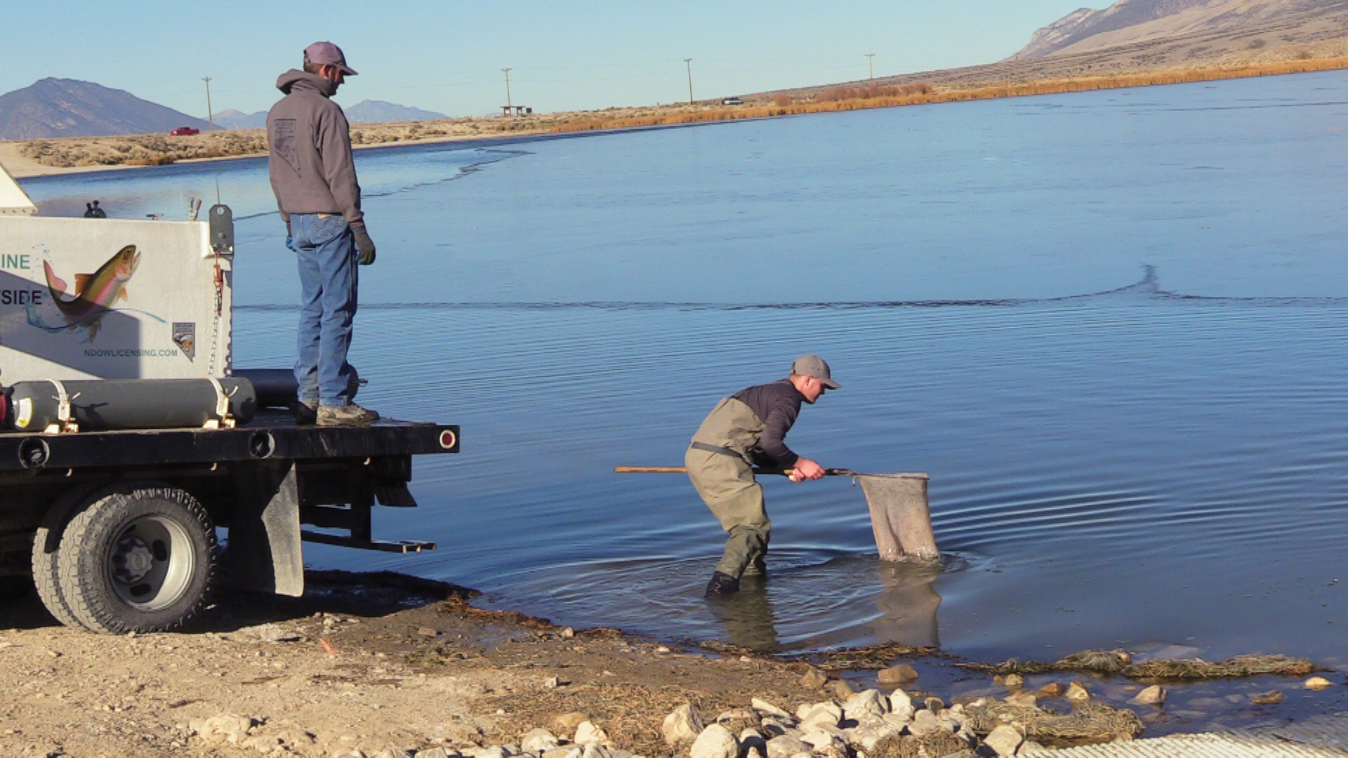 Nevada Department of Wildlife - NDOW