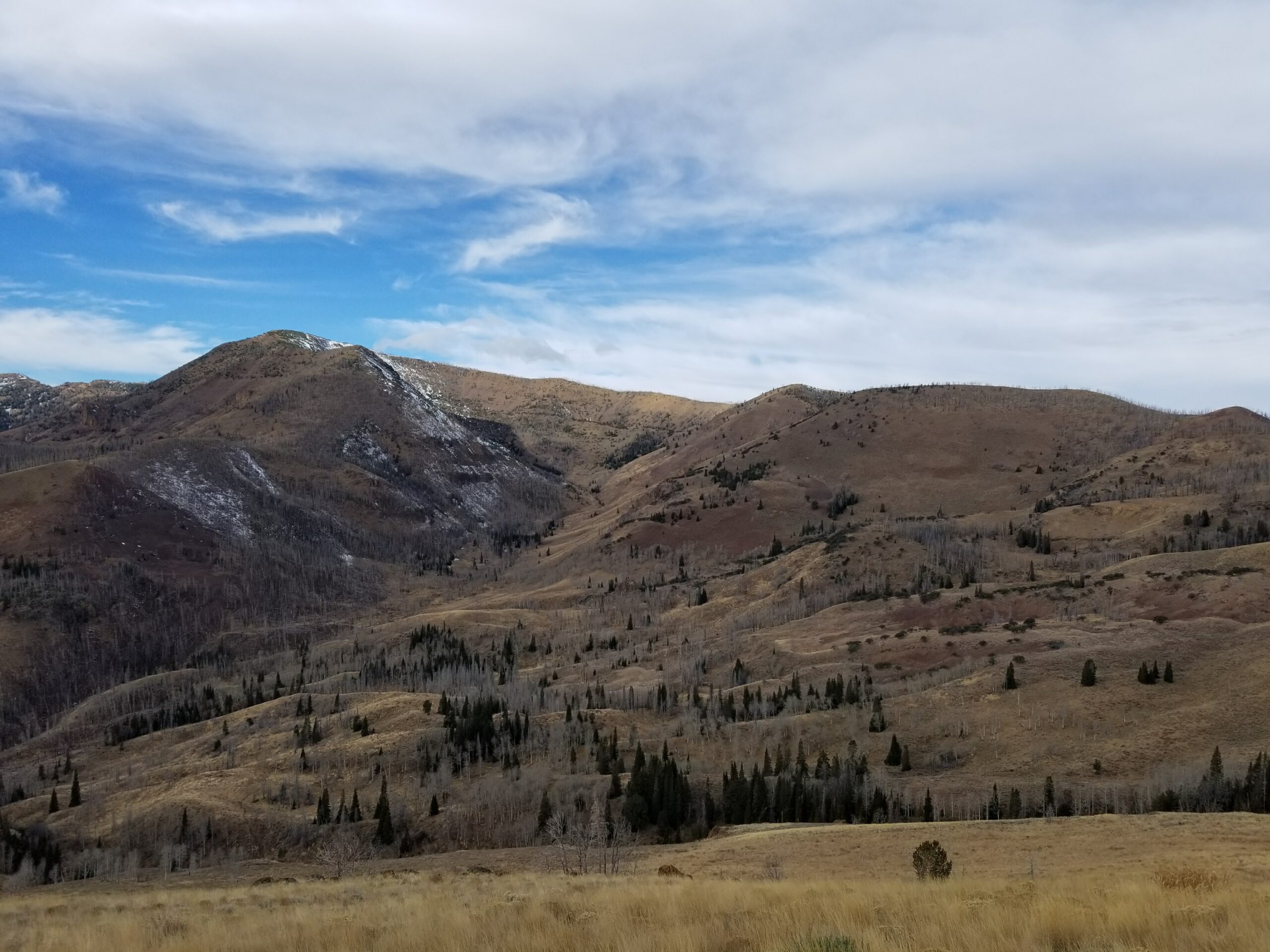 Nevada Discovery Trail