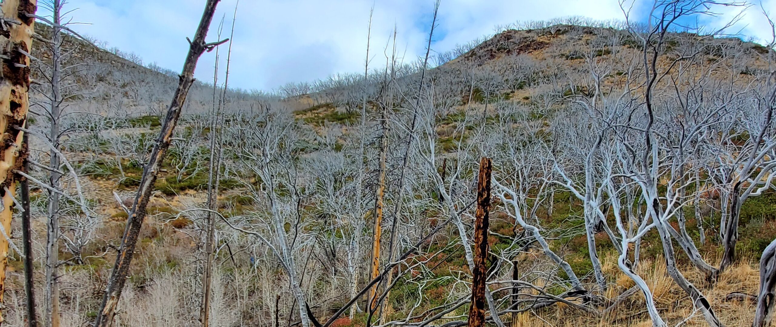 Nevada Discovery Trail