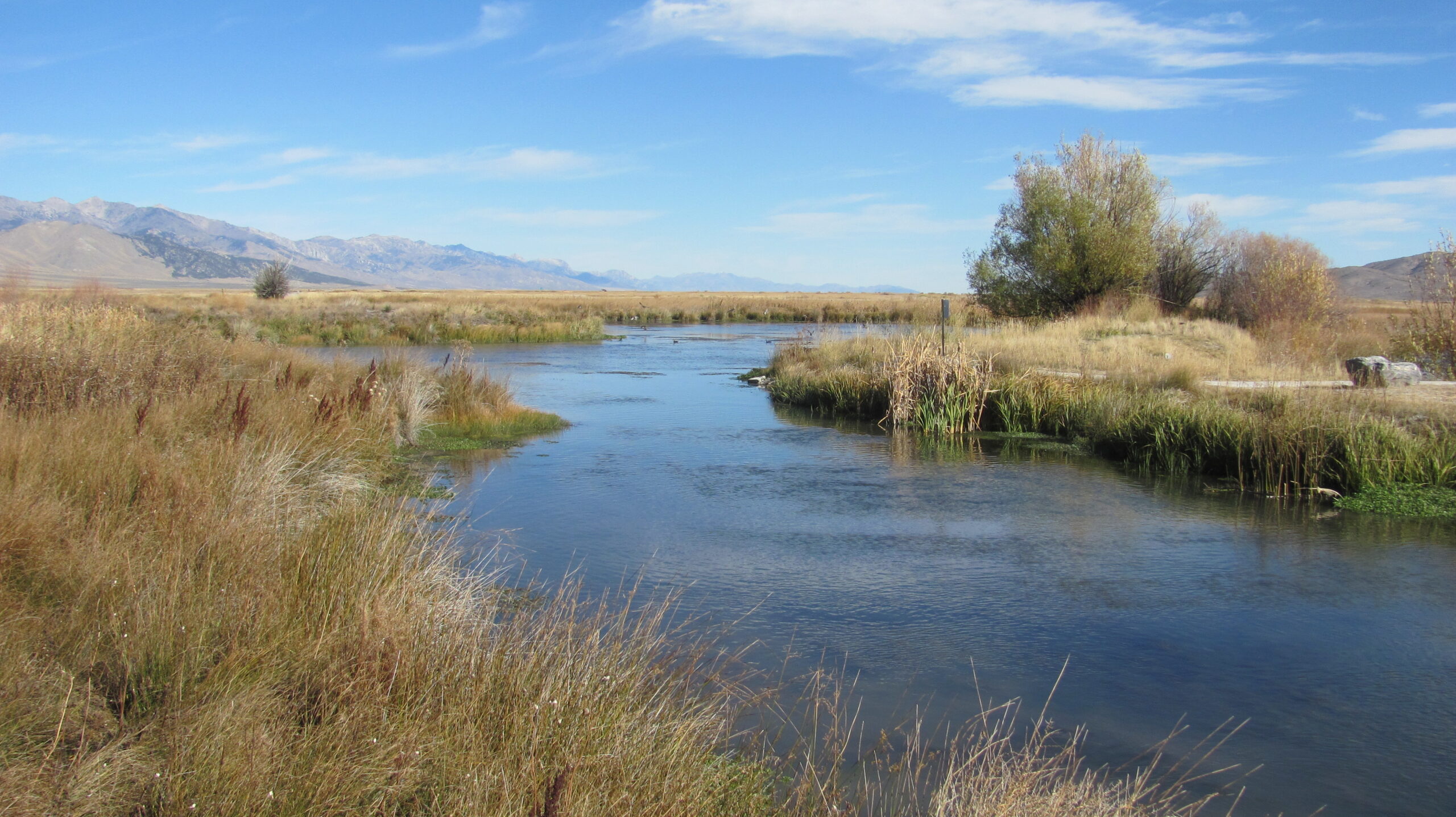 Nevada Discovery Trail