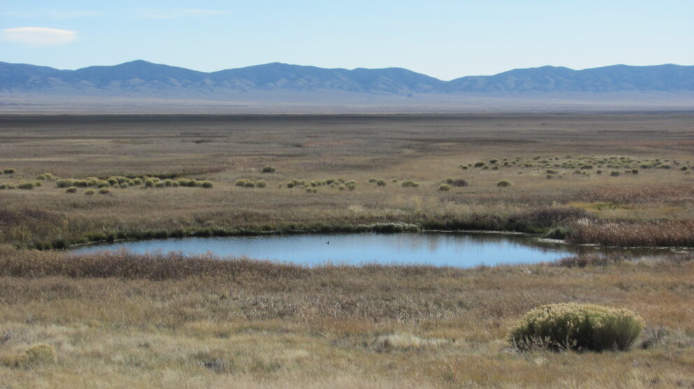 Nevada Discovery Trail