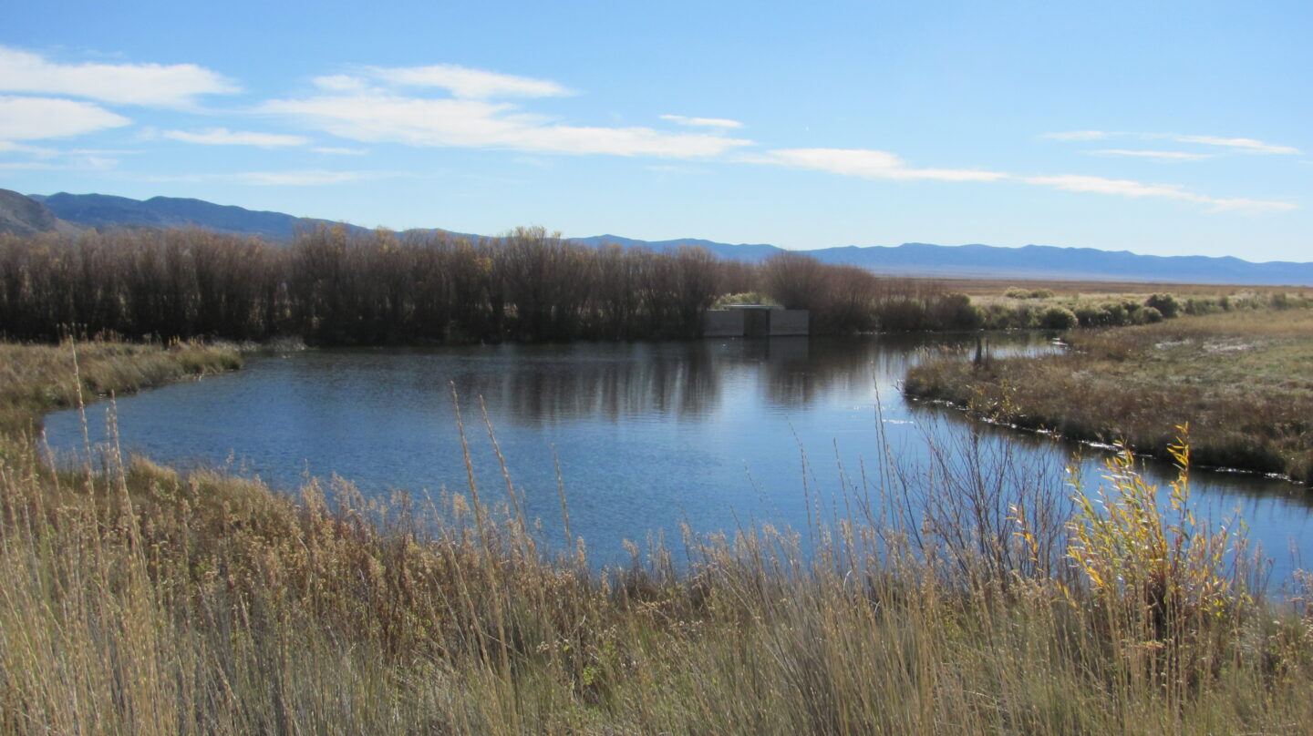 Nevada Discovery Trail