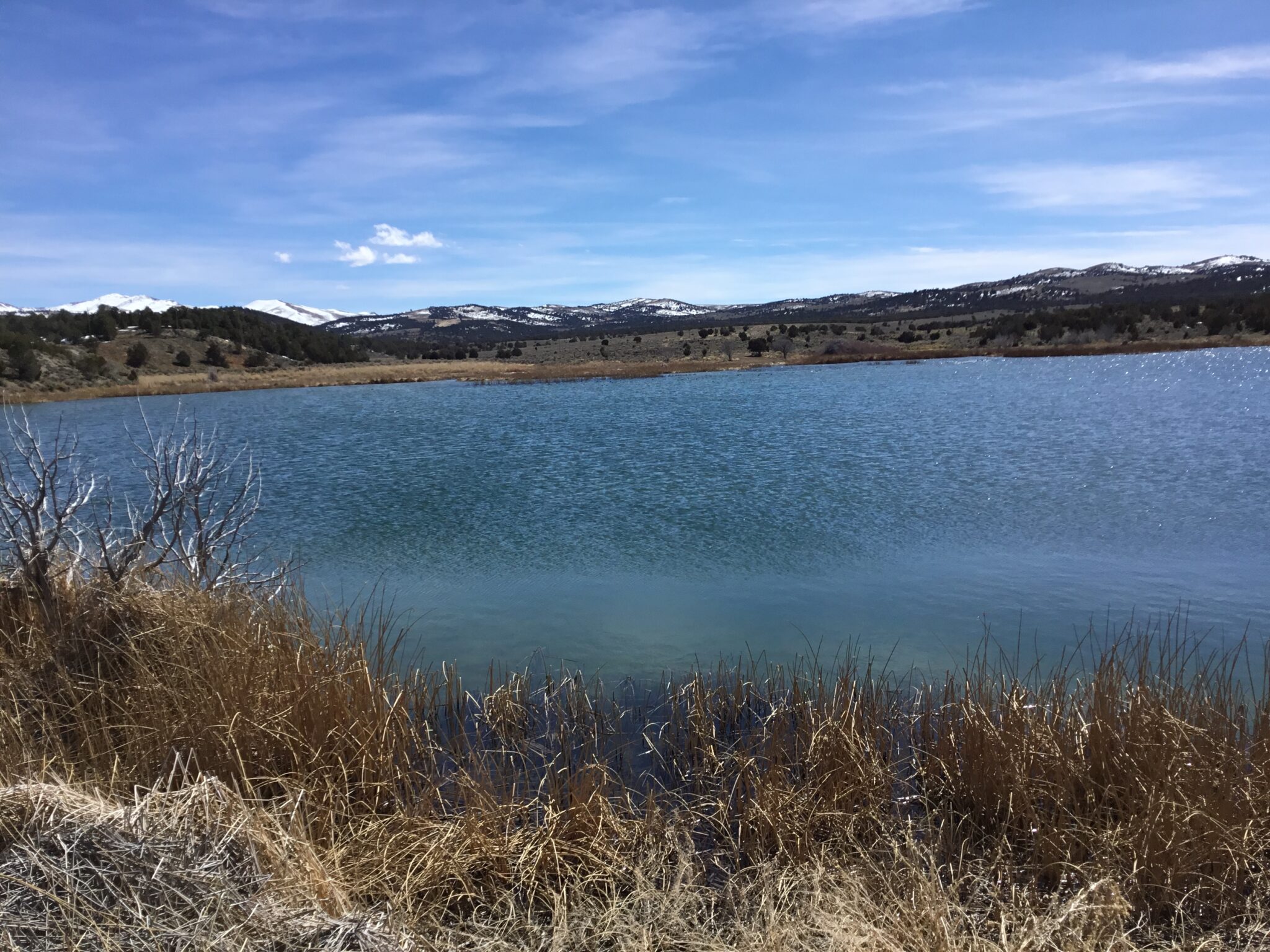 Nevada Discovery Trail - Nevada Department of Wildlife