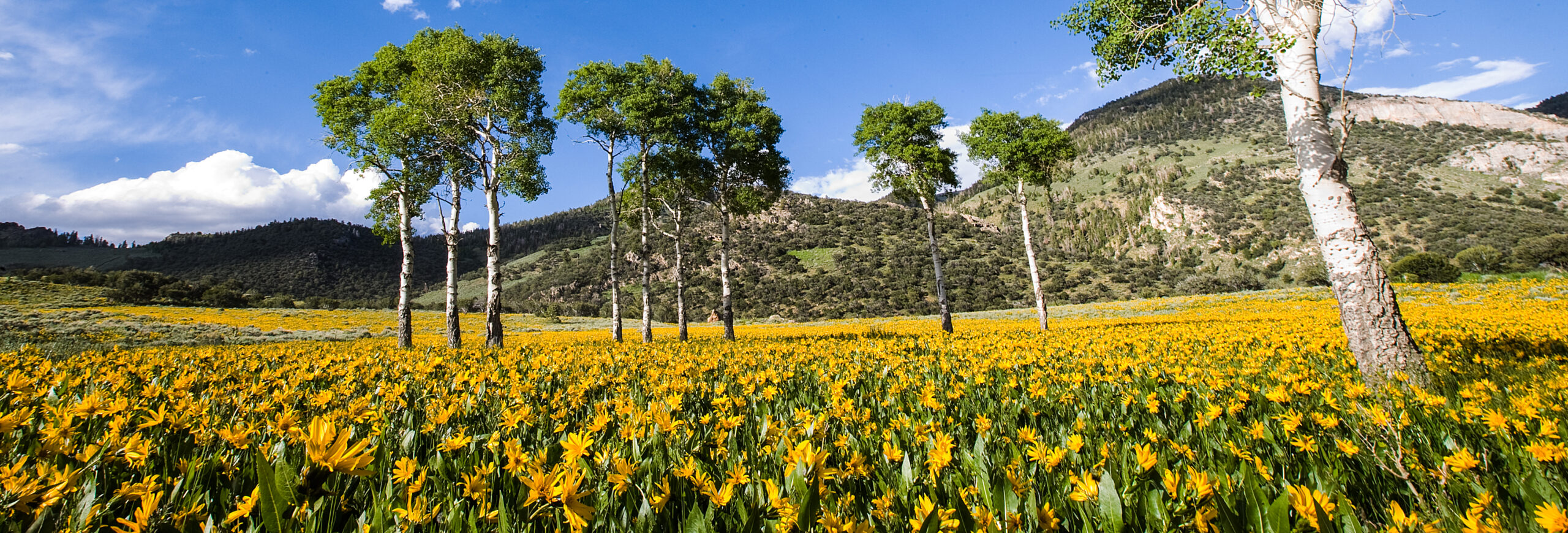 Nevada Discovery Trail