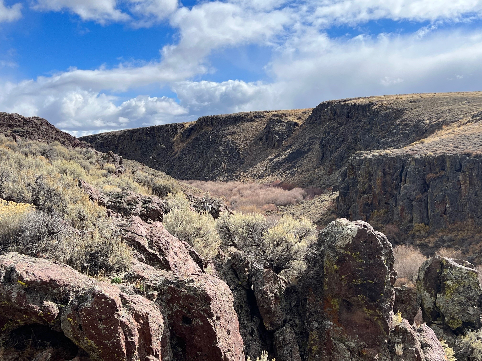 Historic Disaster Peak Ranch Preserved for Conservation Efforts - NDOW