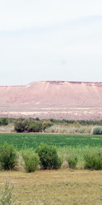 Nevada Department of Wildlife - NDOW